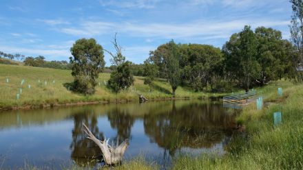 The Australian National University